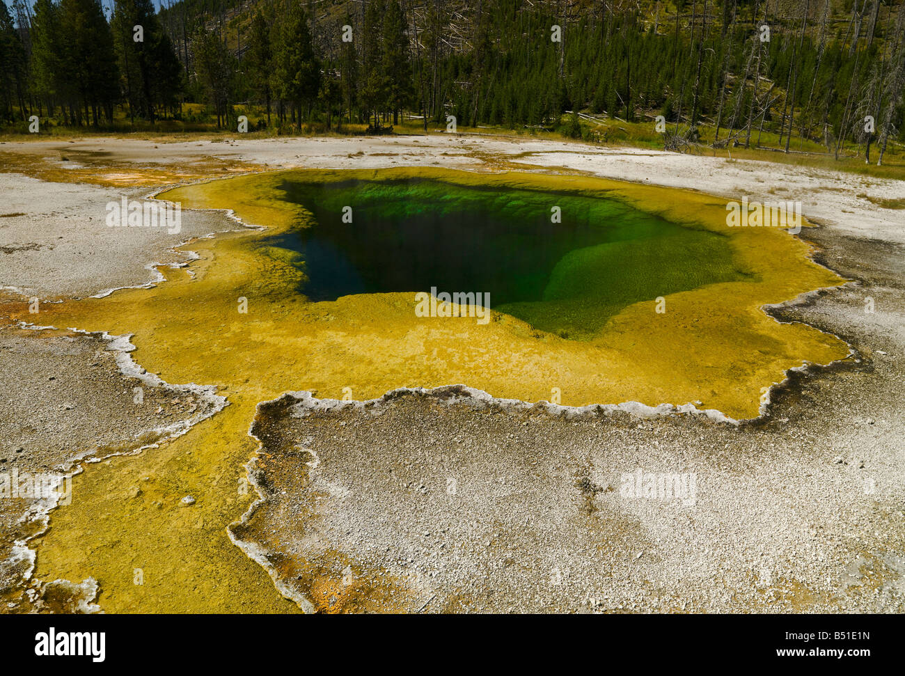 Emerald spring yellowstone hi-res stock photography and images - Alamy