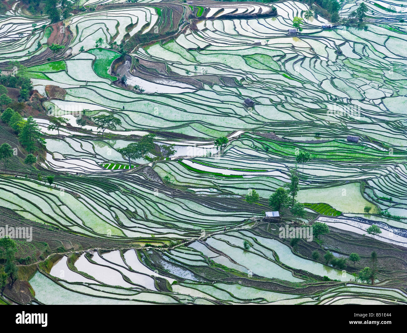 Yunnan rural scene hi-res stock photography and images - Alamy