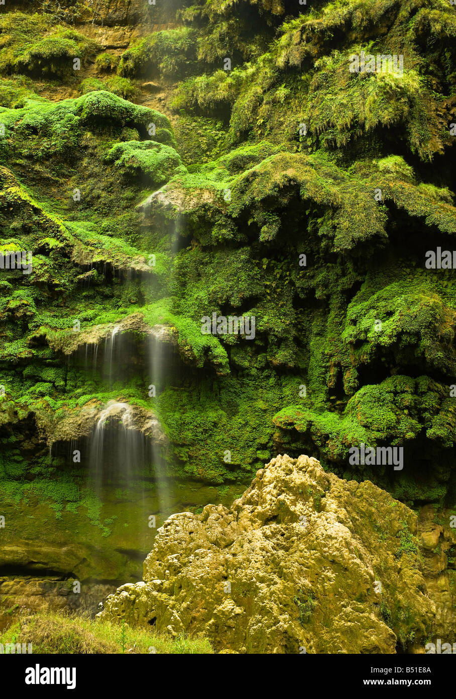 waterfall on moss covered rocks Stock Photo - Alamy