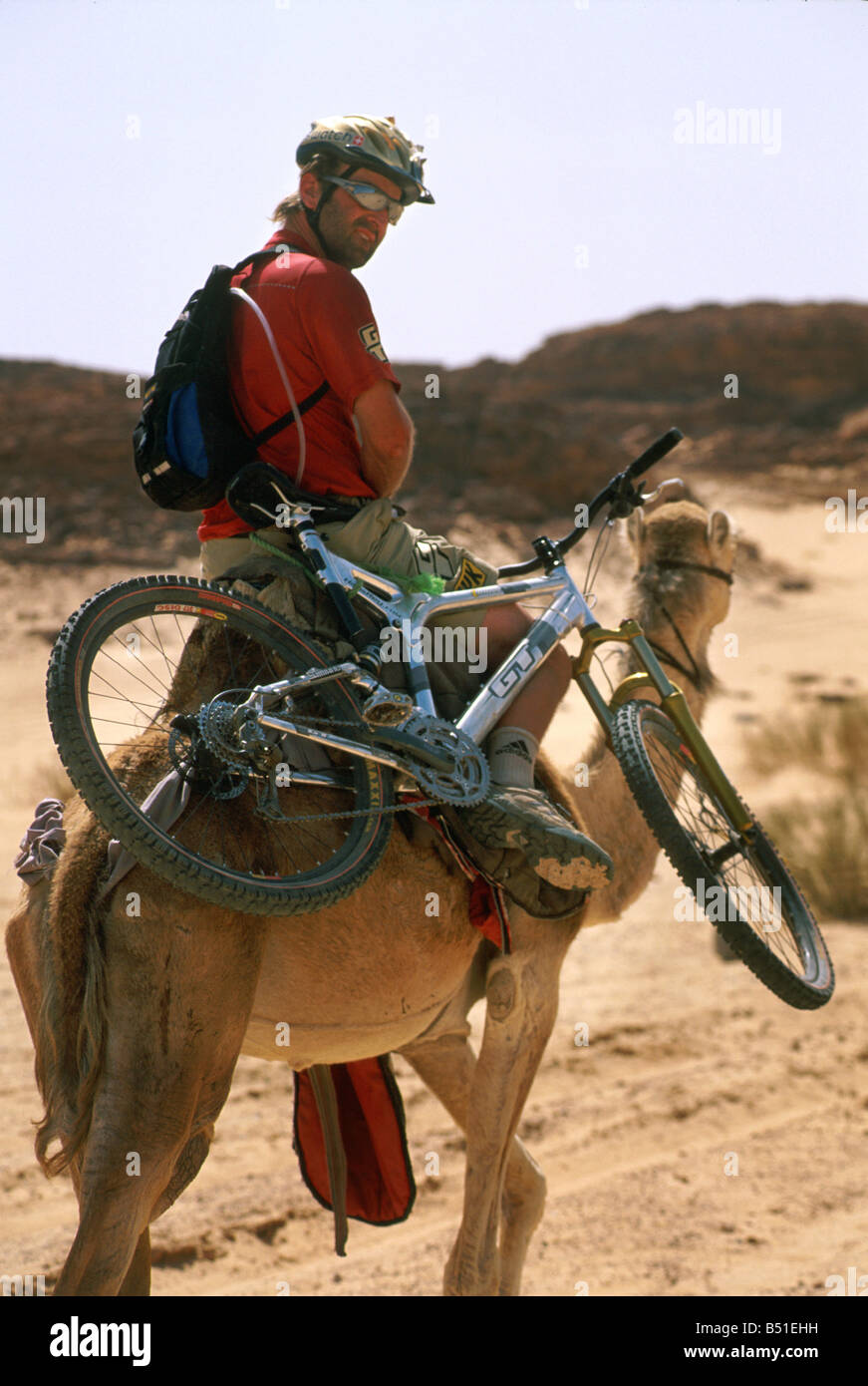 Person riding camel silhouette hi-res stock photography and images - Alamy