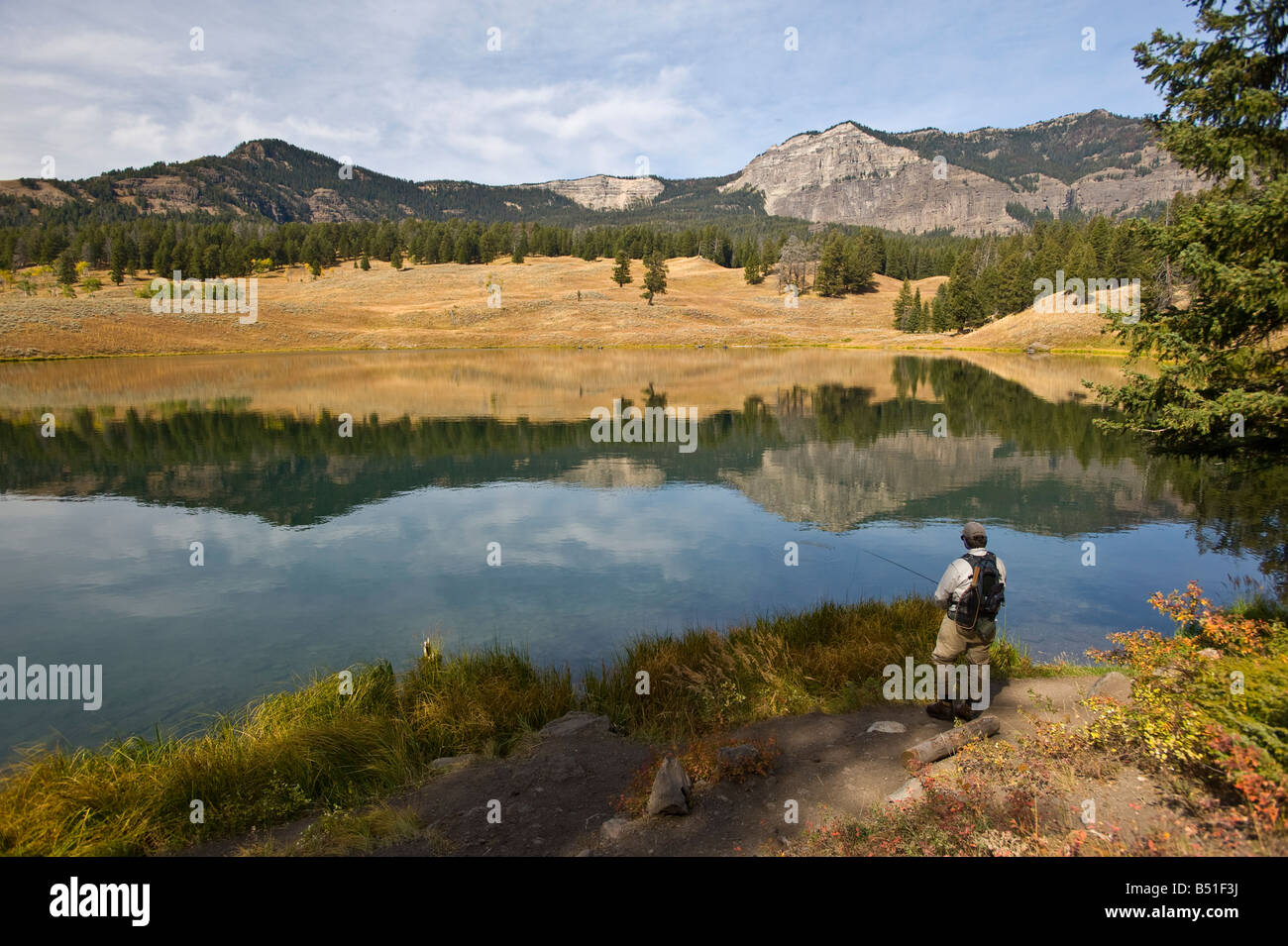 Montana, Yellowstone National Park. A man fly fishes on a beautiful ...