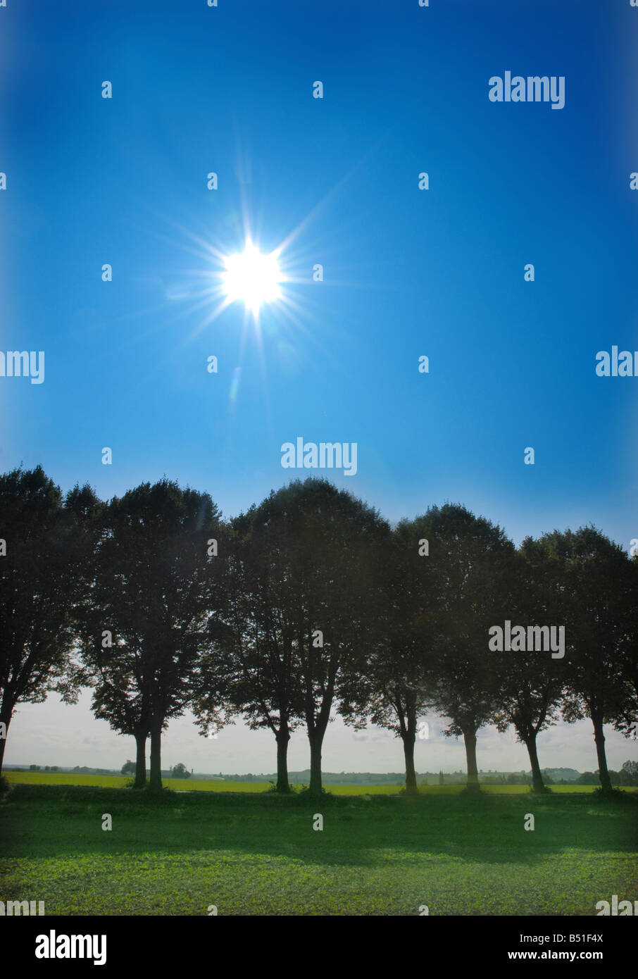 Tree line silhouette hi-res stock photography and images - Alamy