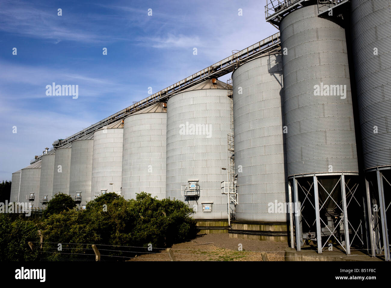 row of silos storing grain Stock Photo - Alamy