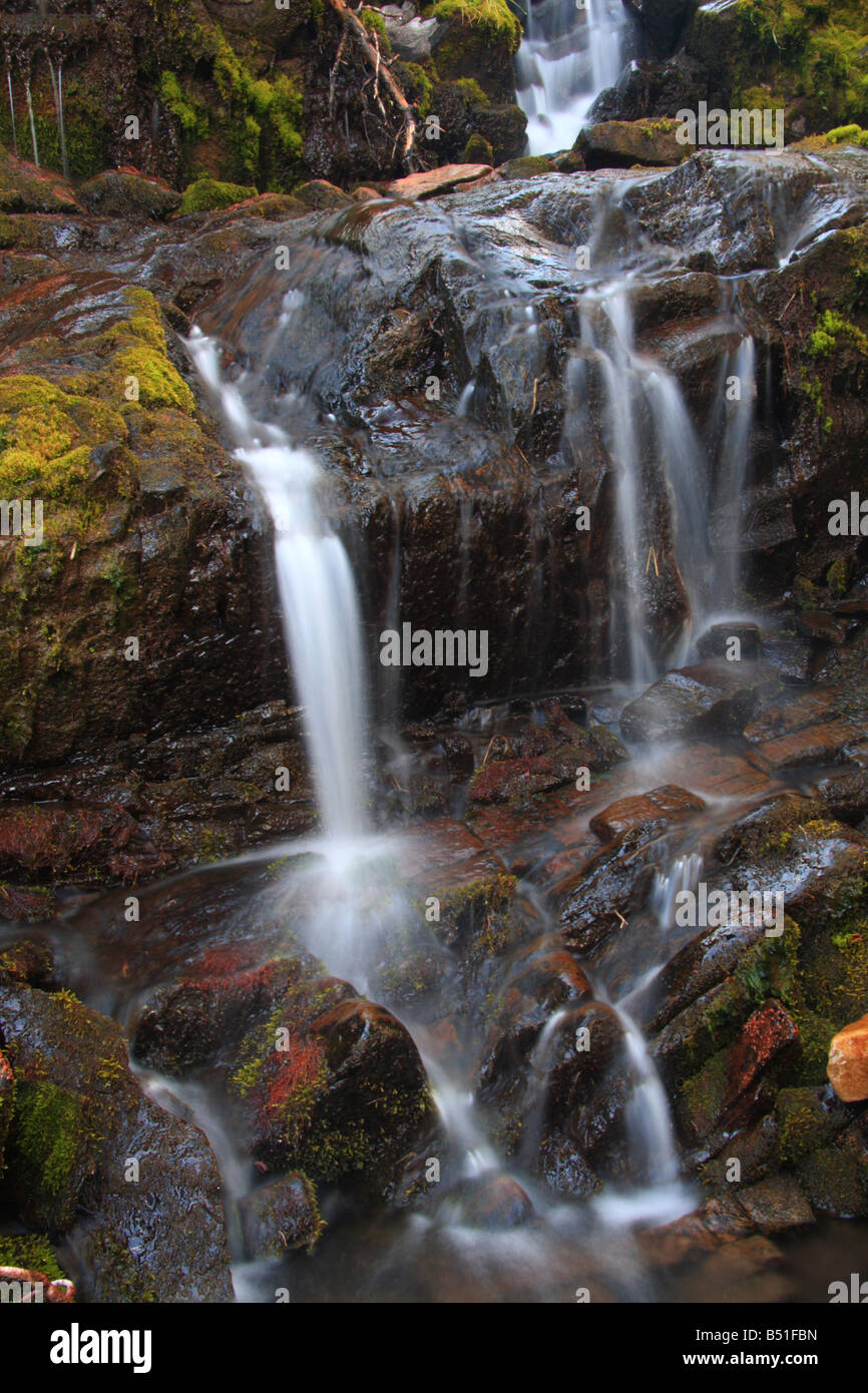 Cascading streams on Highwood Meadows Trail at Highwood Pass ...