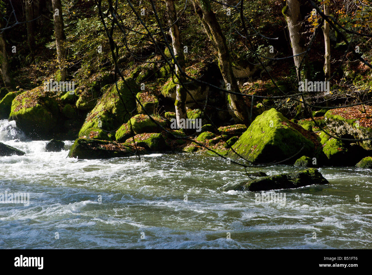 Moss on rocks in river glows green in afternoon sun Stock Photo - Alamy