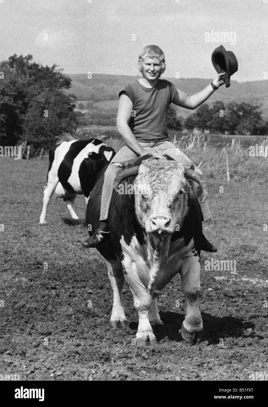 Milking cattle Black and White Stock Photos & Images - Alamy