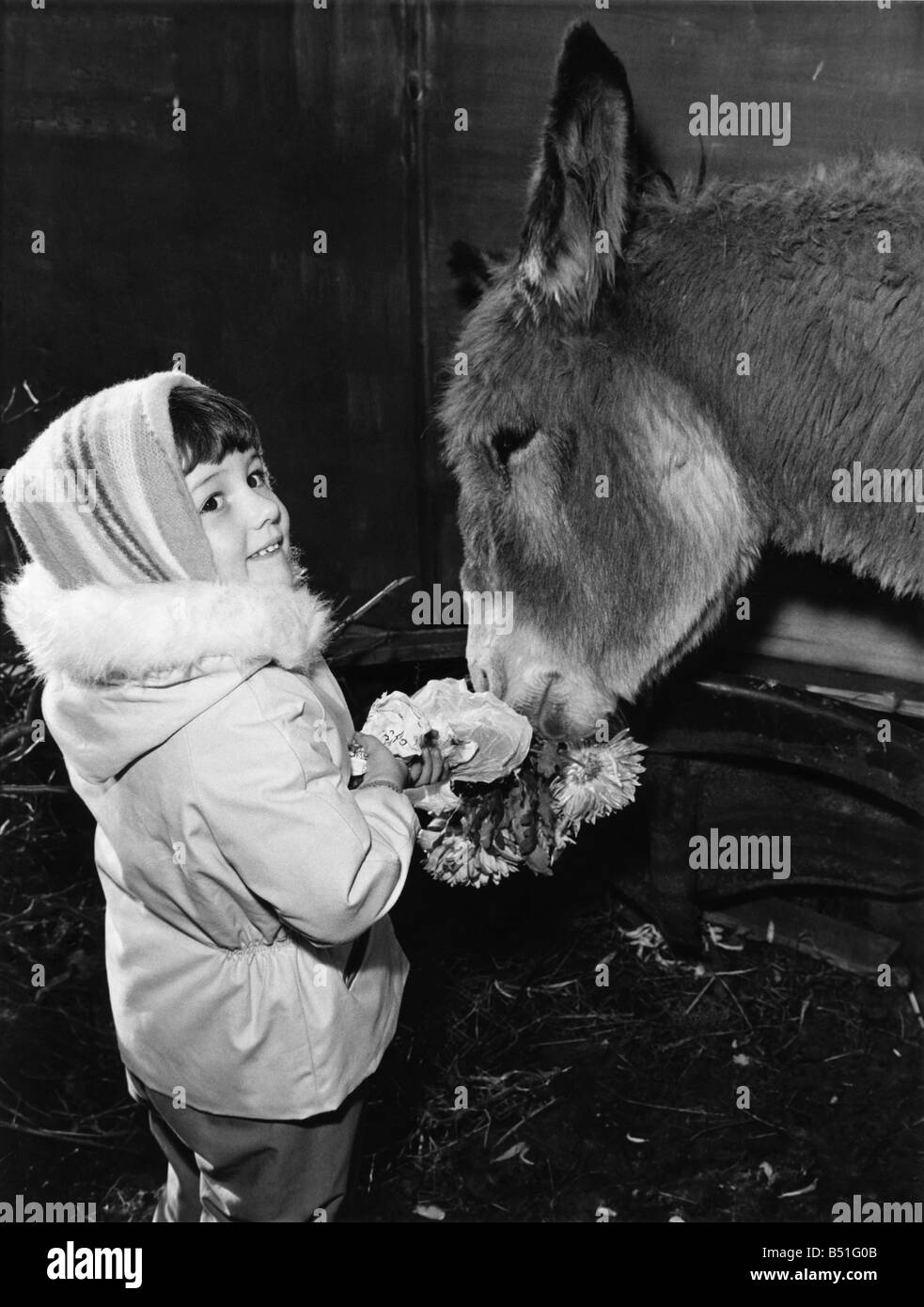 It's flowers all the way now for Mary the donkey. But her life wasn't ...