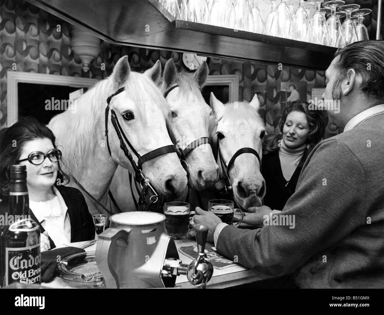 Landlord Allen Thompson serving drinks alround in the Dog & Partridge ...