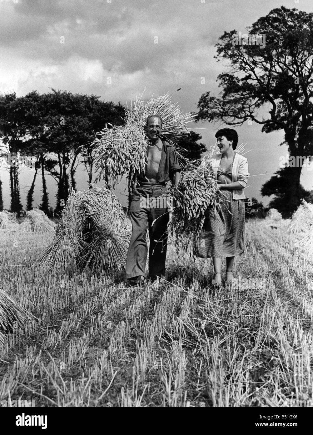 Sheaves of corn hi-res stock photography and images - Alamy