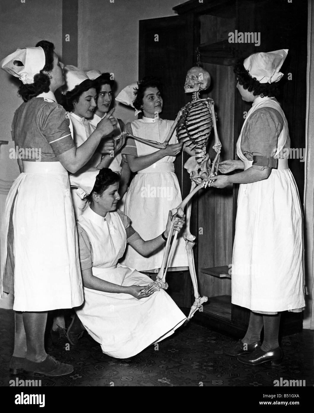 Skeleton in their Cupboard. Nurses being taught anatomy. April 1948 ...