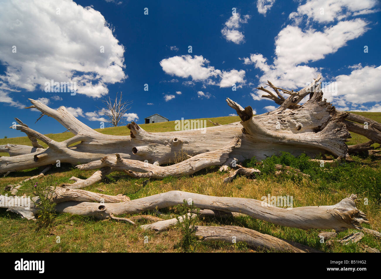 Farmland, Butchers Ridge, Victoria, Australia Stock Photo - Alamy