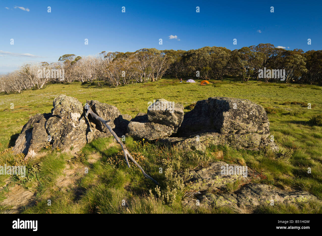 High Country, Bogong High Plains, Alpine National Park, Victoria ...
