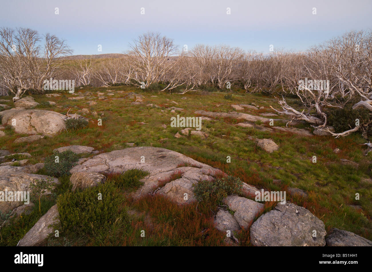 High Country, Bogong High Plains, Alpine National Park, Victoria ...