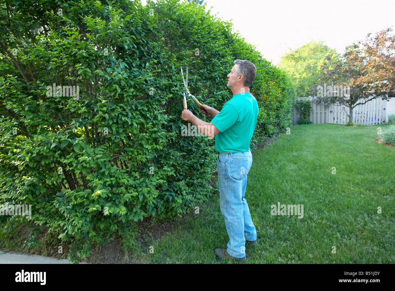 Man doing yard work hi-res stock photography and images - Alamy