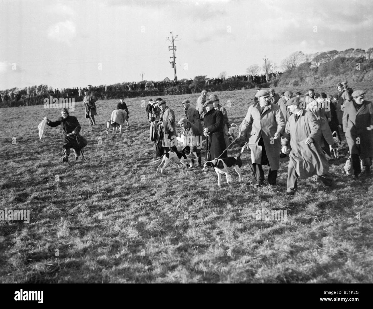 Hound trailing hi-res stock photography and images - Alamy