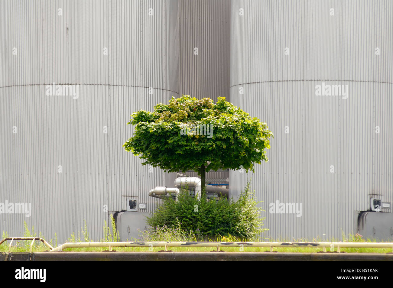 Factory nature hi-res stock photography and images - Alamy