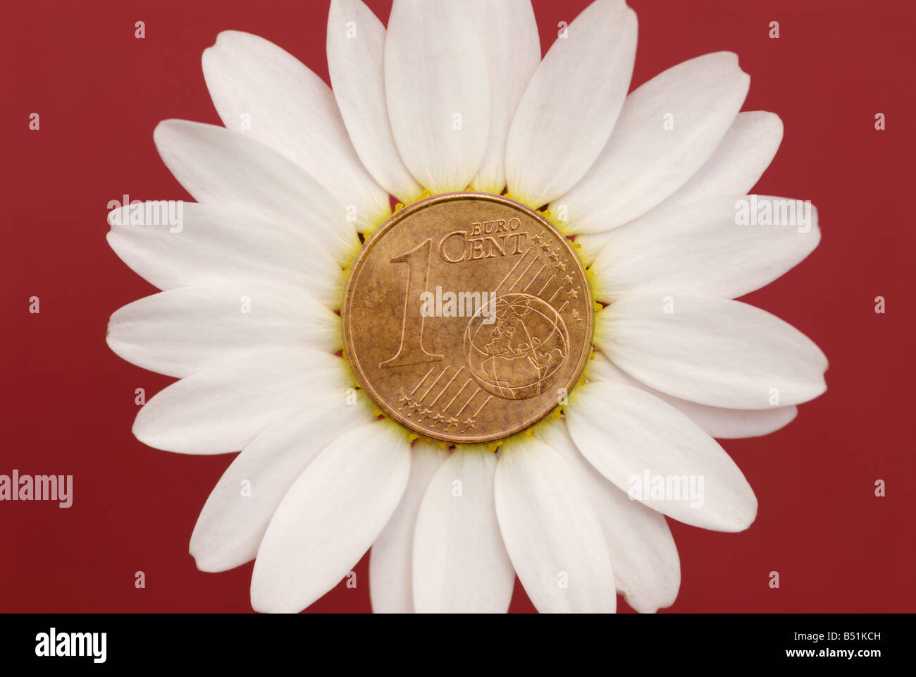 Eco cent hi-res stock photography and images - Alamy