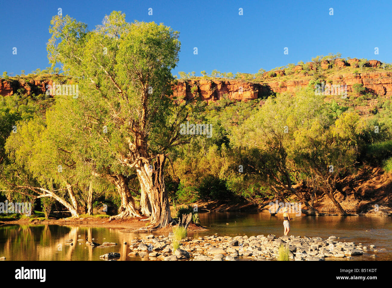 Angler at Victoria River, Northern Territory, Australia Stock Photo - Alamy
