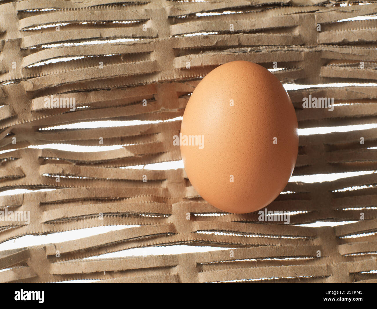 Egg detail hi-res stock photography and images - Alamy