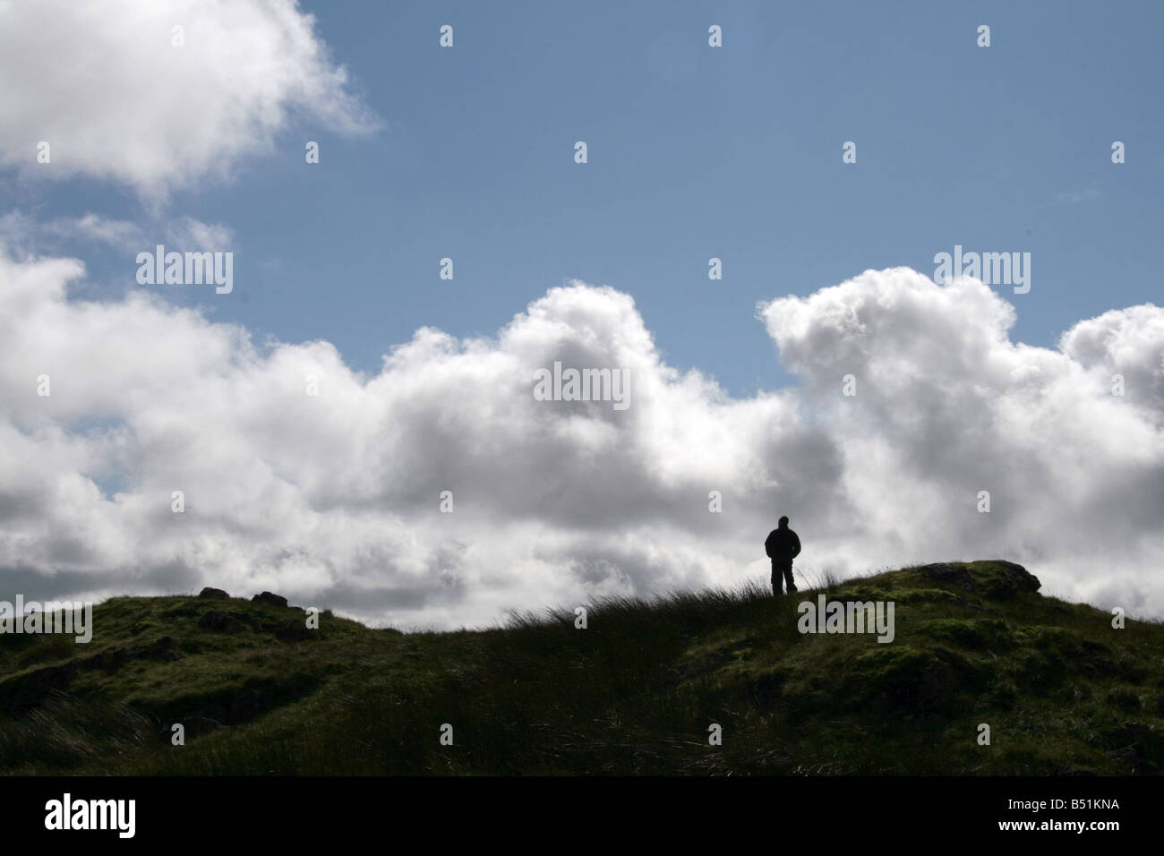 Man suspense walk hi-res stock photography and images - Alamy