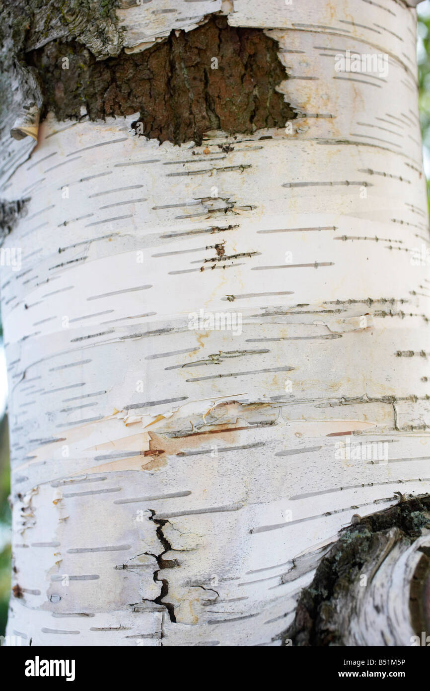 Royal botanical gardens canada hi-res stock photography and images - Alamy