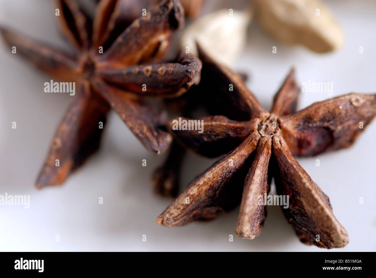 Macro Star Anise and Cardamom Stock Photo - Alamy