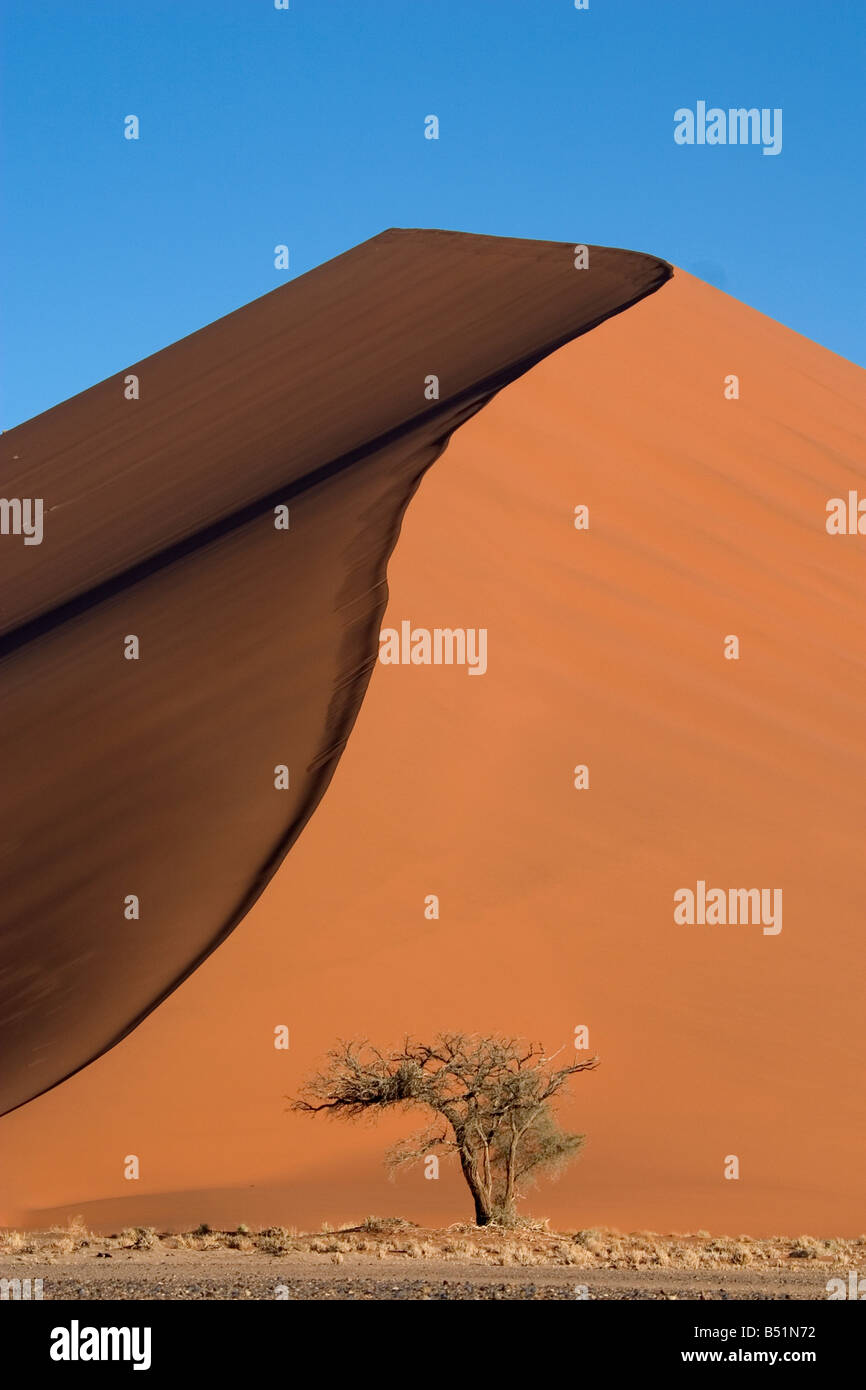 dune in Namibia Stock Photo - Alamy