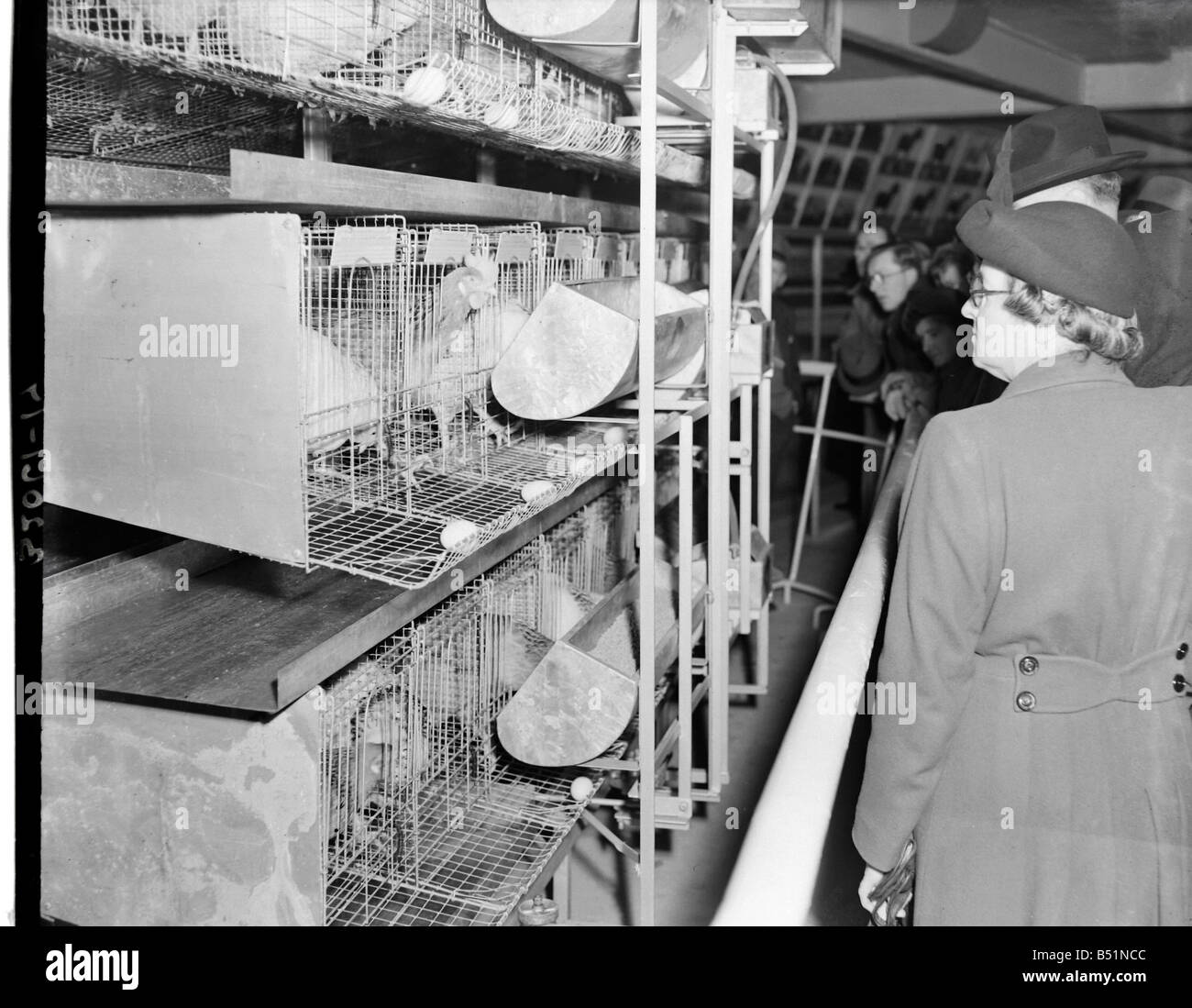 Festival of Britain 1951;Opening of the South Bank Exhibition to the ...