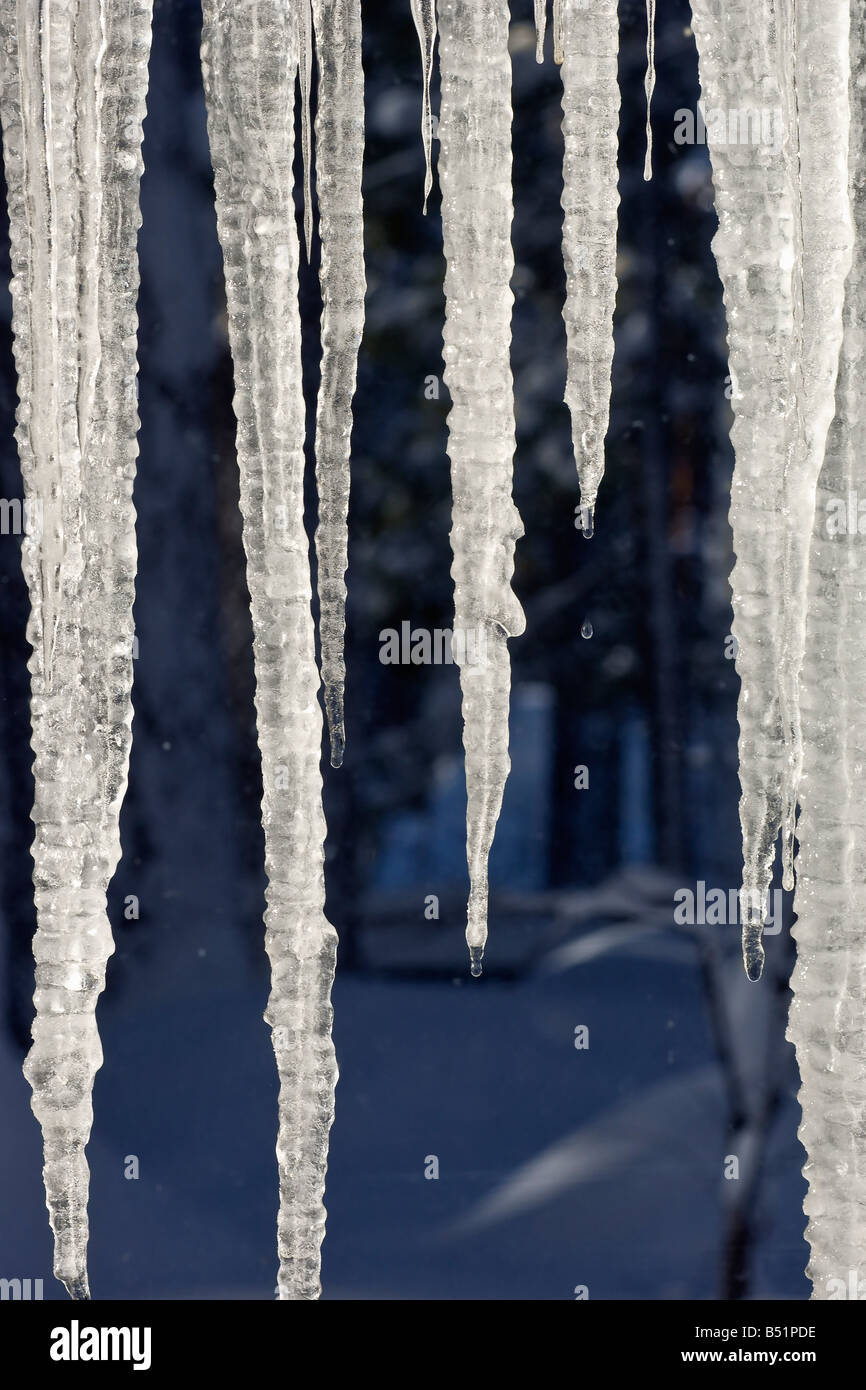 Close up snow icicles on hi-res stock photography and images - Alamy