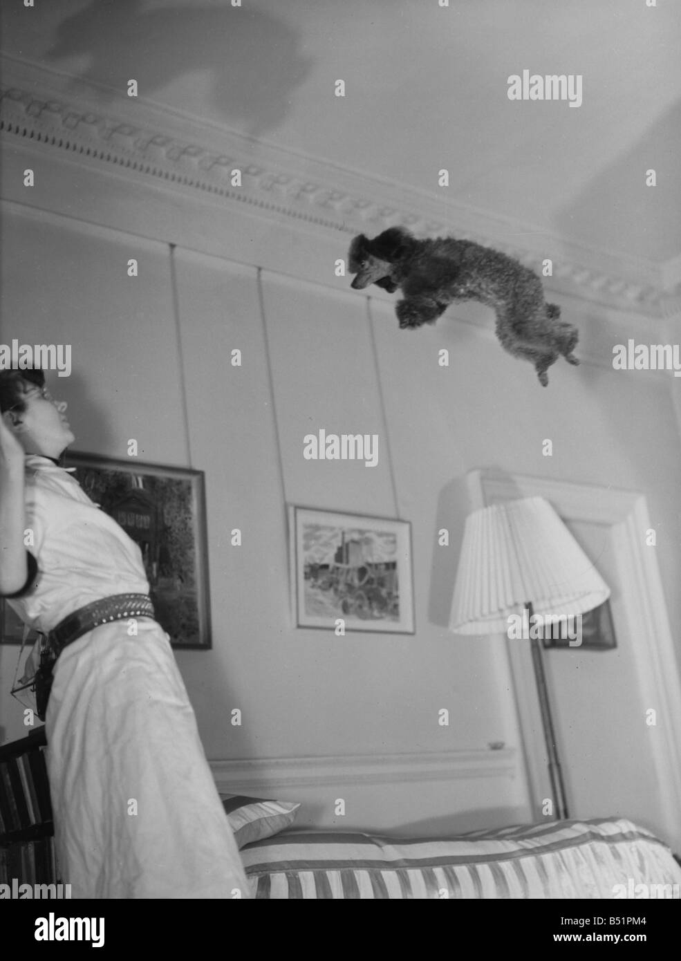 L 3 inches Black and White Stock Photos & Images - Alamy