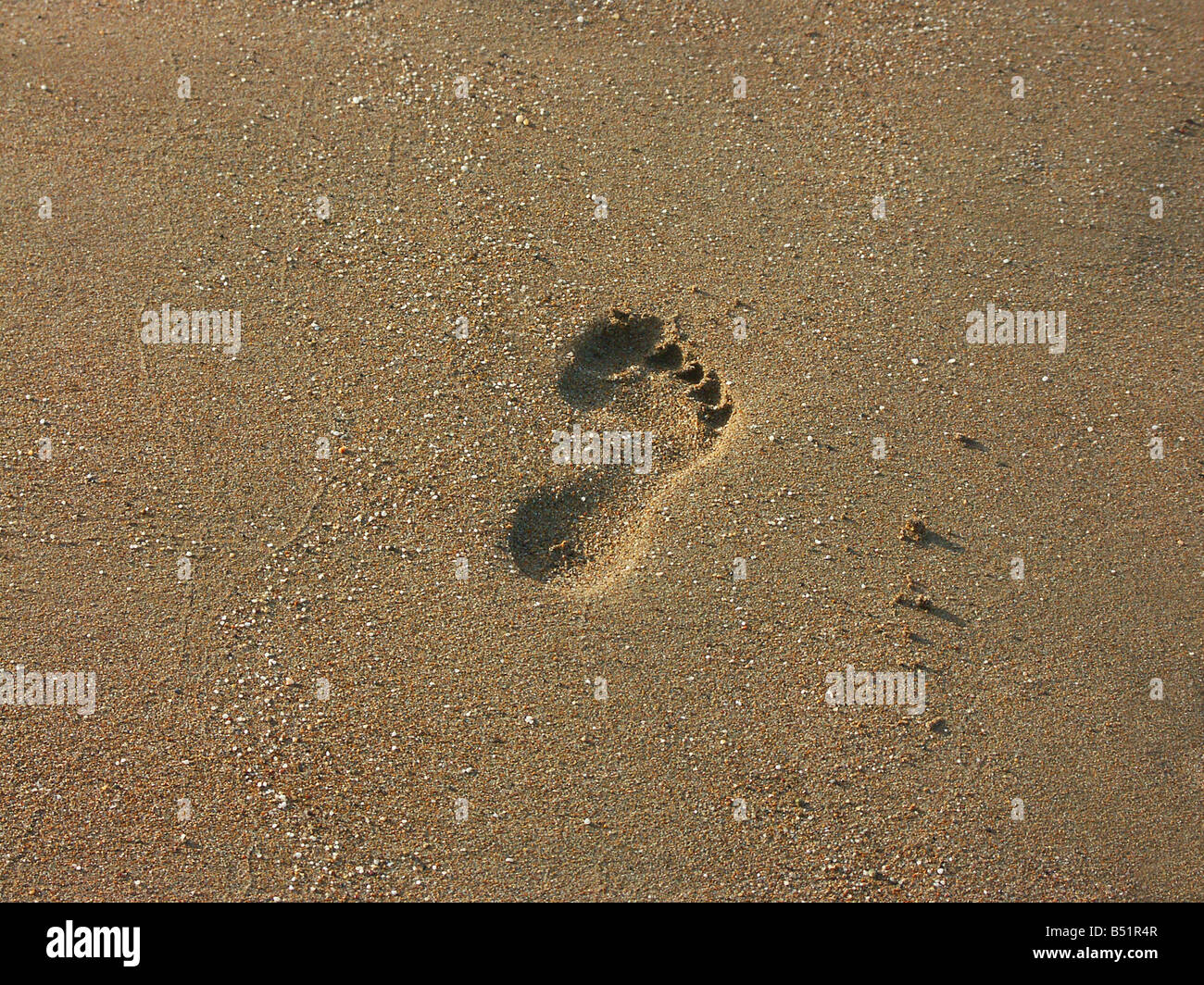 Foot print in the sand Stock Photo - Alamy