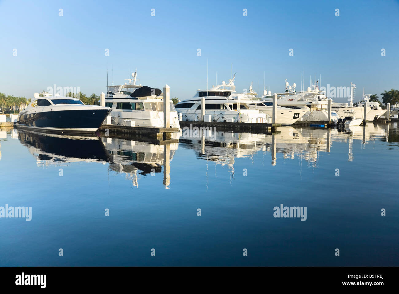 Bahia mar marina hi-res stock photography and images - Alamy