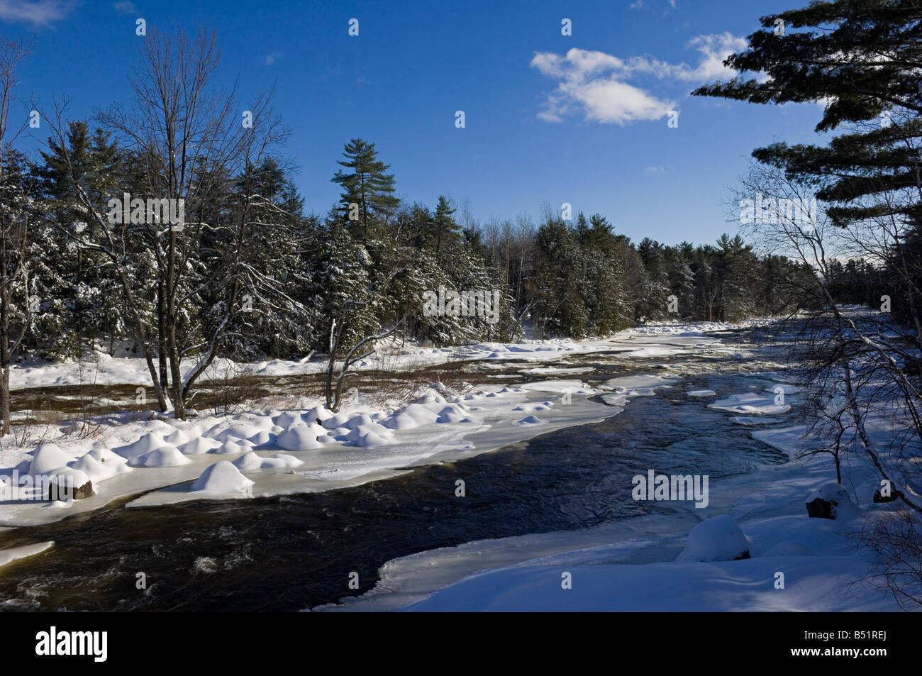 Coniferous forest quebec canada hi-res stock photography and images - Alamy