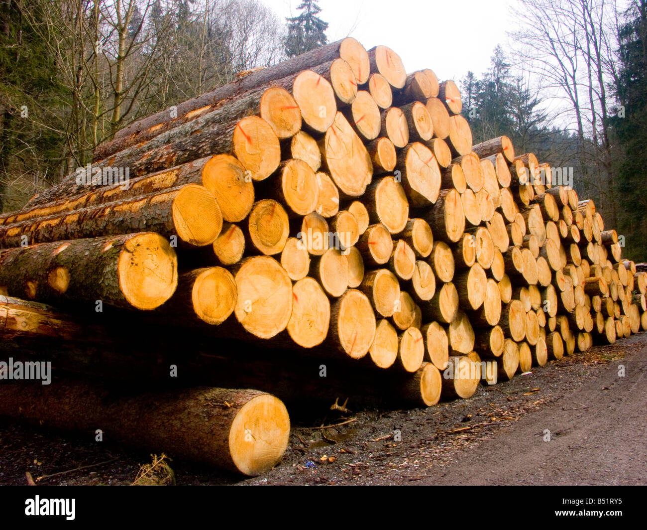 pile of wood Stock Photo - Alamy
