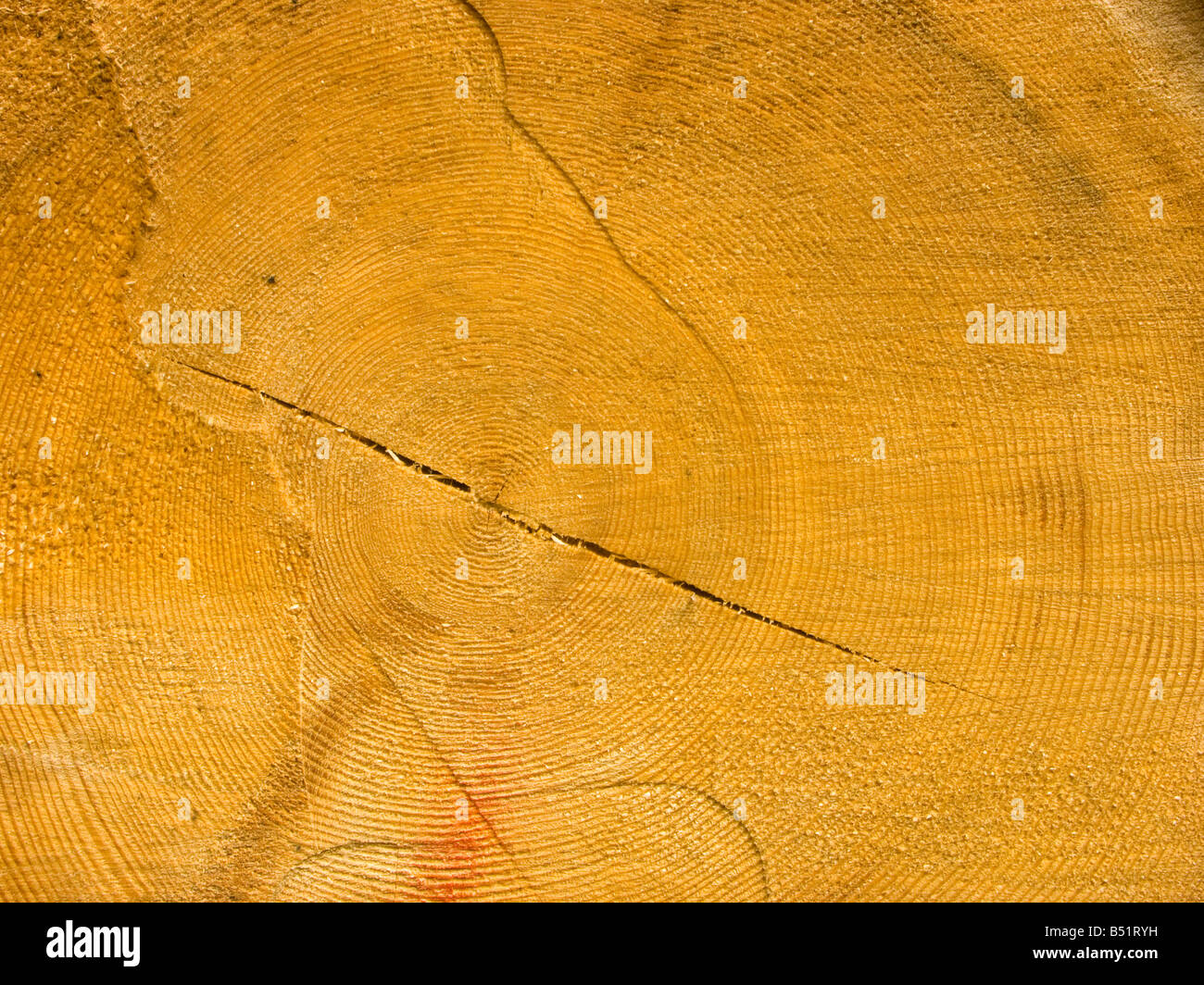 Cut age hi-res stock photography and images - Alamy