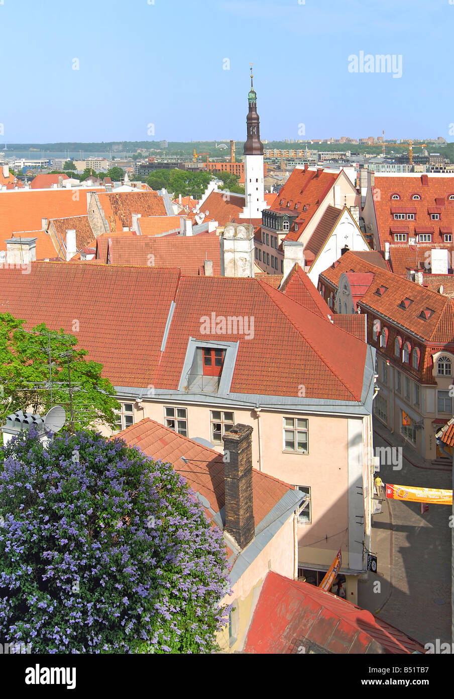 Historical Old Town of Tallinn Stock Photo - Alamy