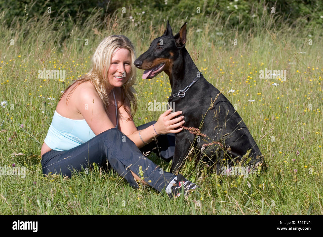 Doberman portraits hi-res stock photography and images - Alamy