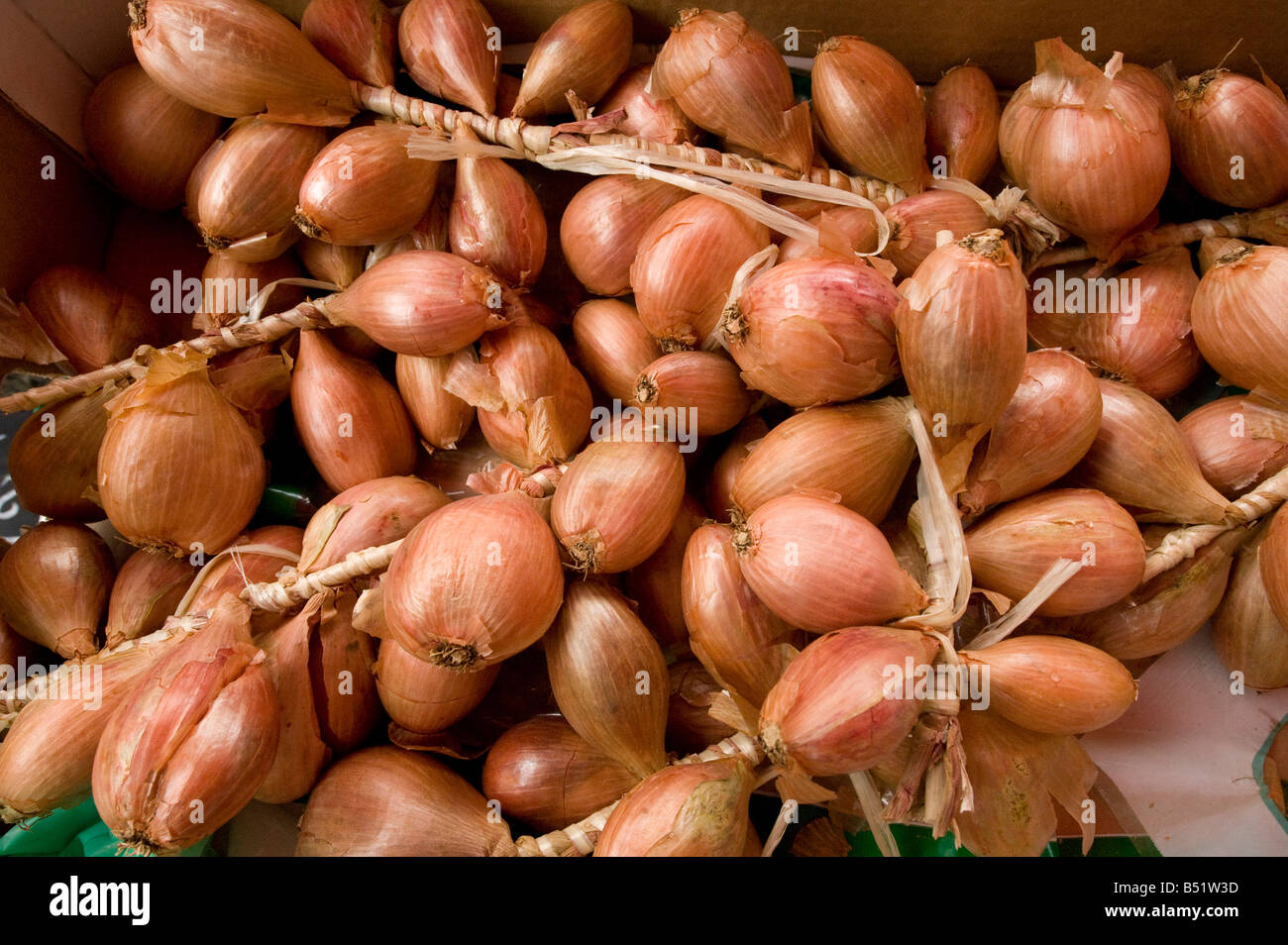 Fresh scallions on market hi-res stock photography and images - Alamy