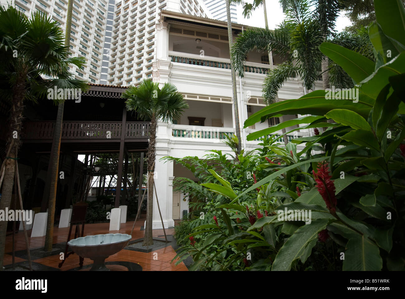 Raffles palm hi-res stock photography and images - Alamy