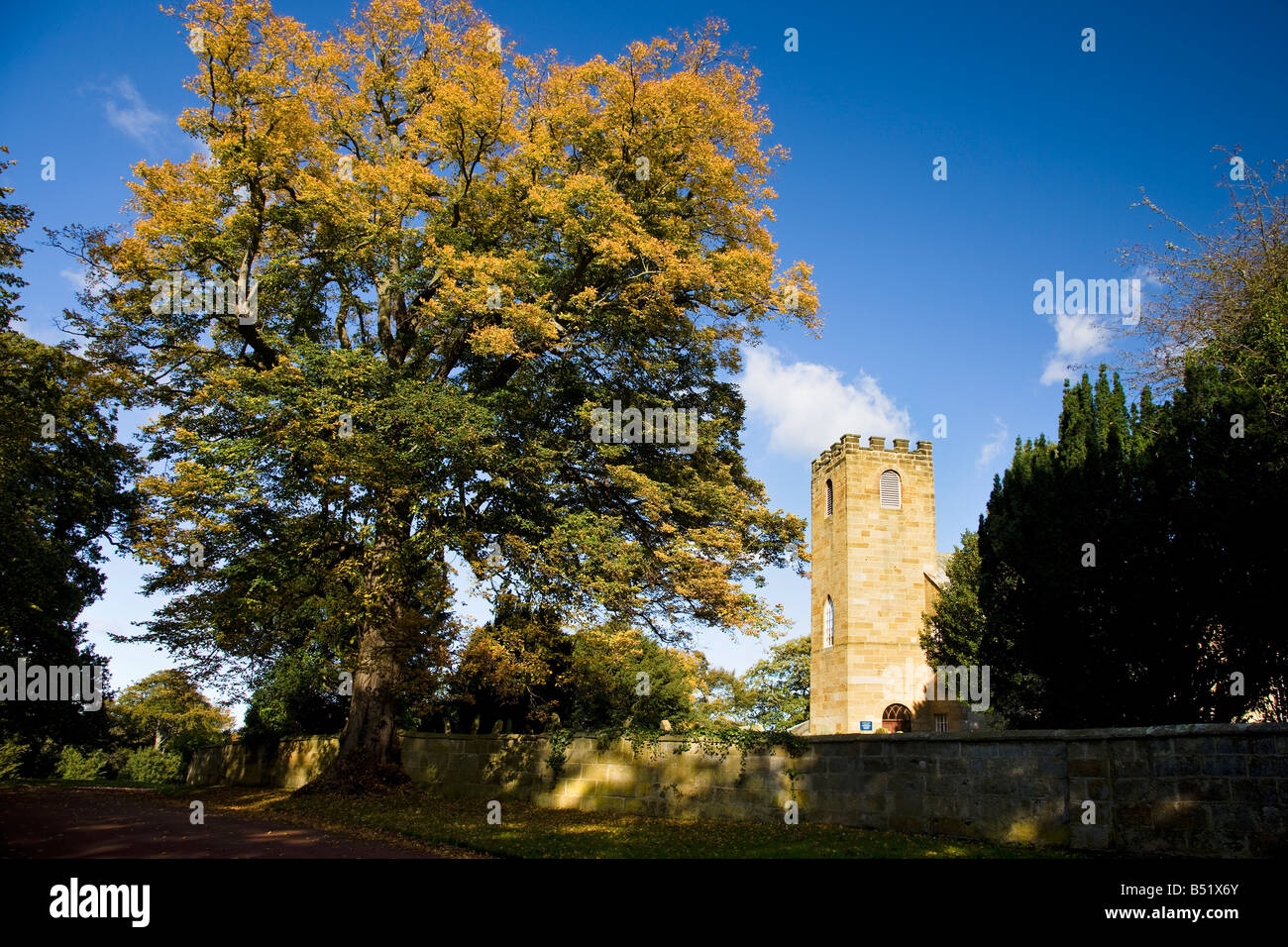 Skelton in cleveland hi-res stock photography and images - Alamy