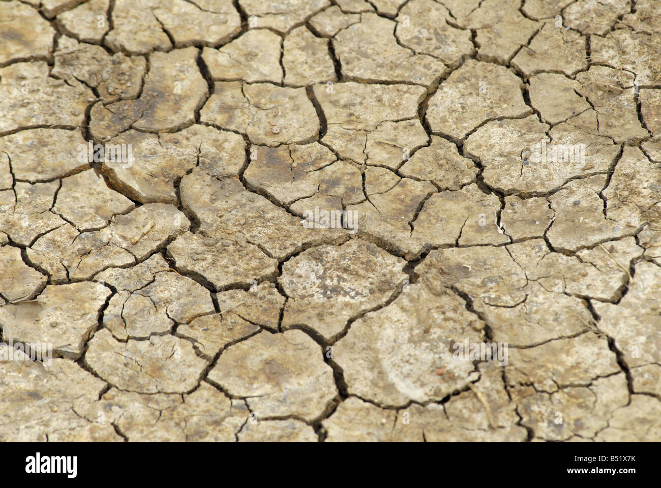dried out earth Stock Photo - Alamy