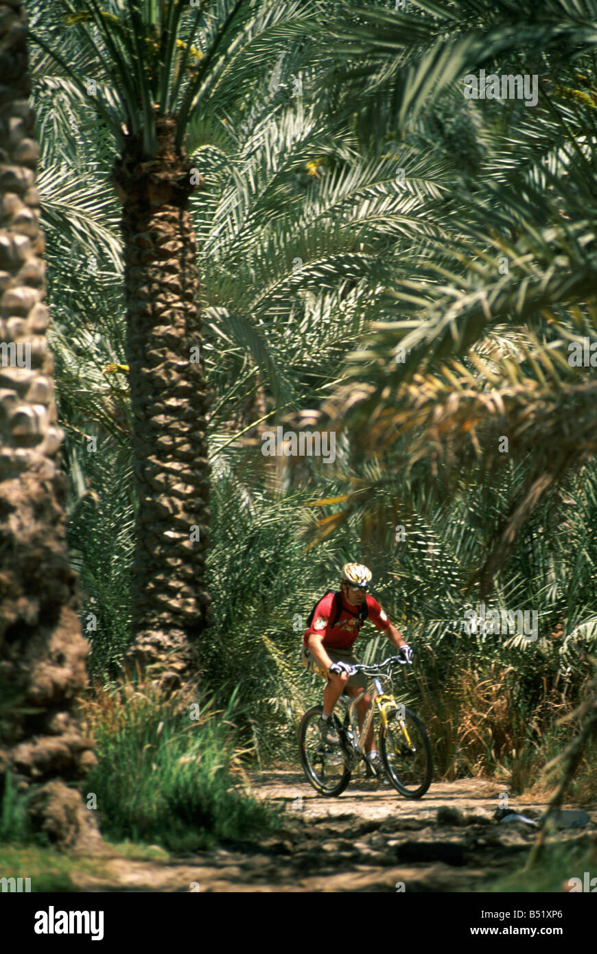 World Champion Hans Rey riding at an oasis, Cairo, Egypt Stock Photo ...