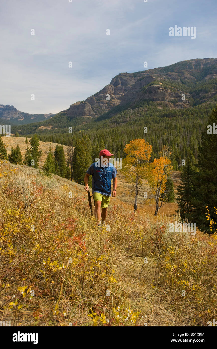 Montana, Yellowstone National Park. A man hikes on a beautiful fall day ...