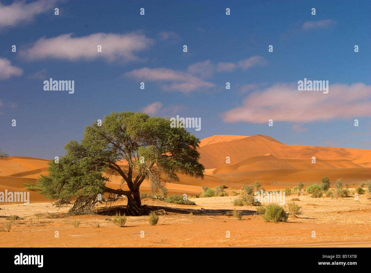 dune in Namibia Stock Photo - Alamy