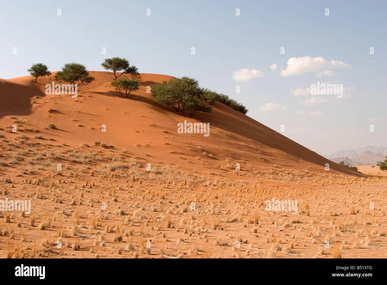 Elim dune hi-res stock photography and images - Alamy