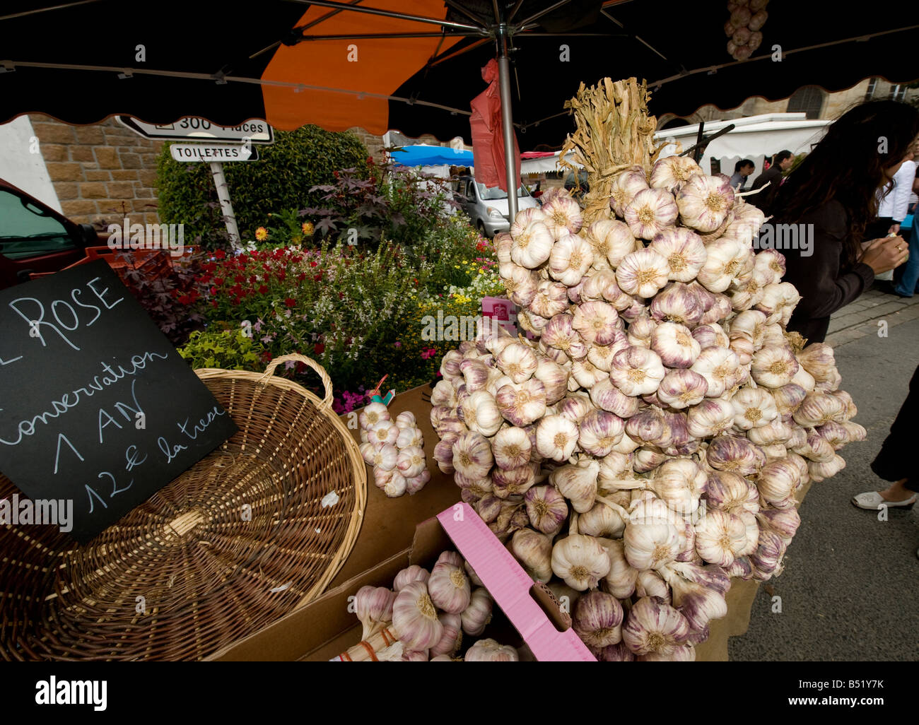 ripe fresh garlic on the market Stock Photo - Alamy
