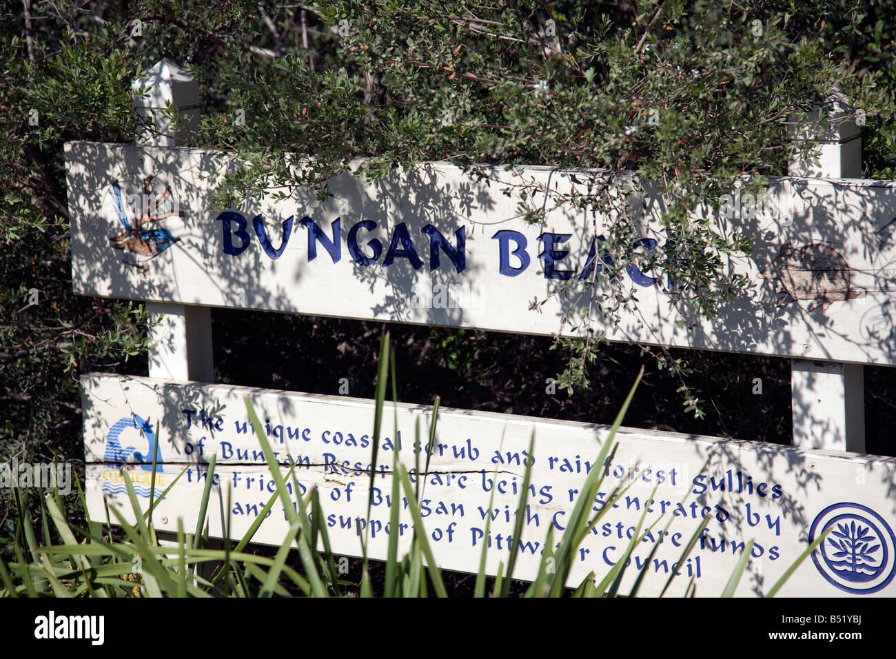 white painted wooden sign for bungan beach,northern beaches,sydney ...