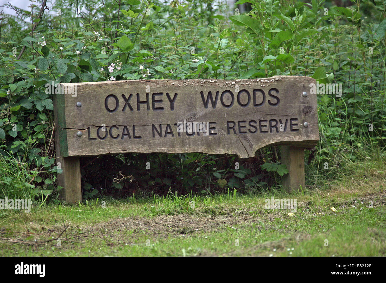 Beagley hi-res stock photography and images - Alamy