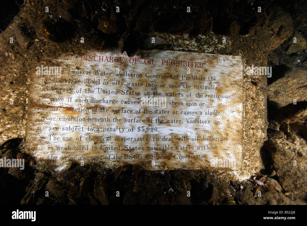 Tag sign at a sunken ship covered with common mussels Stock Photo - Alamy