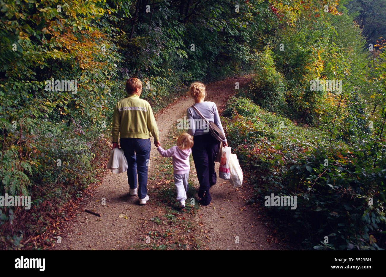 Wood pickers hi-res stock photography and images - Alamy